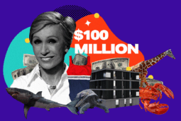 Barbara Corcoran Net Worth: From Real Estate to Shark Tank | MoneyMade